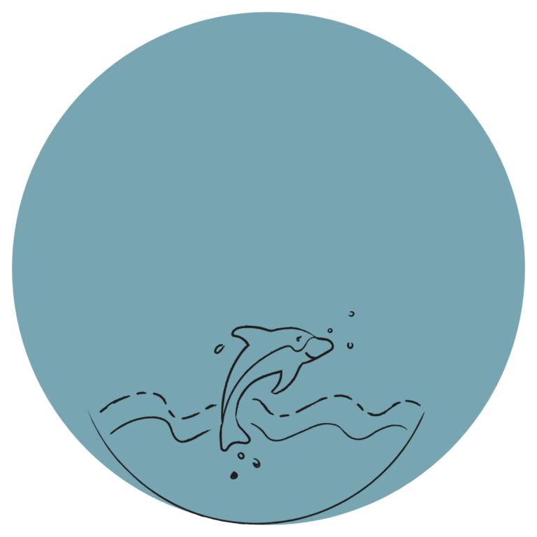 INTERWEAVE WEB ICONS | Sustainable Seattle